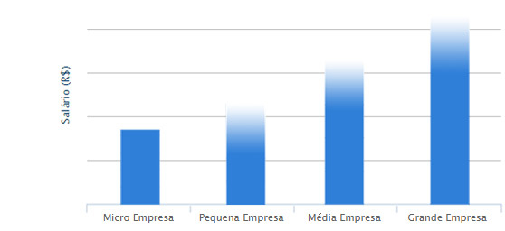 Cargos e Salários - Analista Contábil Júnior - Curriculum.com.br